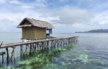 Accommodation - Stay Raja Ampat