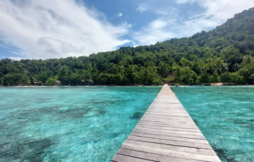 Turtle Homestay - Raja Ampat accommodation on Kri Island